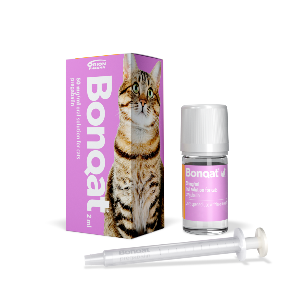 Bonqat® for Cats: Pregabalin Solution for Anxiety in cats | Dômes Pharma