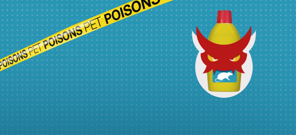Rodent Poison Risks for Dogs and Cats |Dômes Pharma
