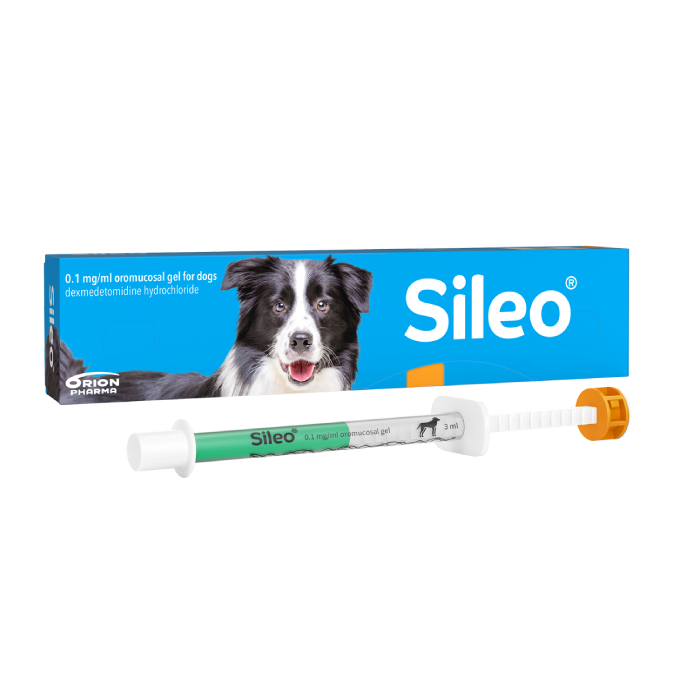 Sileo®: Dexmedetomidine Anxiolytic for Dogs | Dômes Pharma
