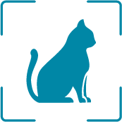 Ziapam: Seizure Management in Dogs and Cats | Dômes Pharma